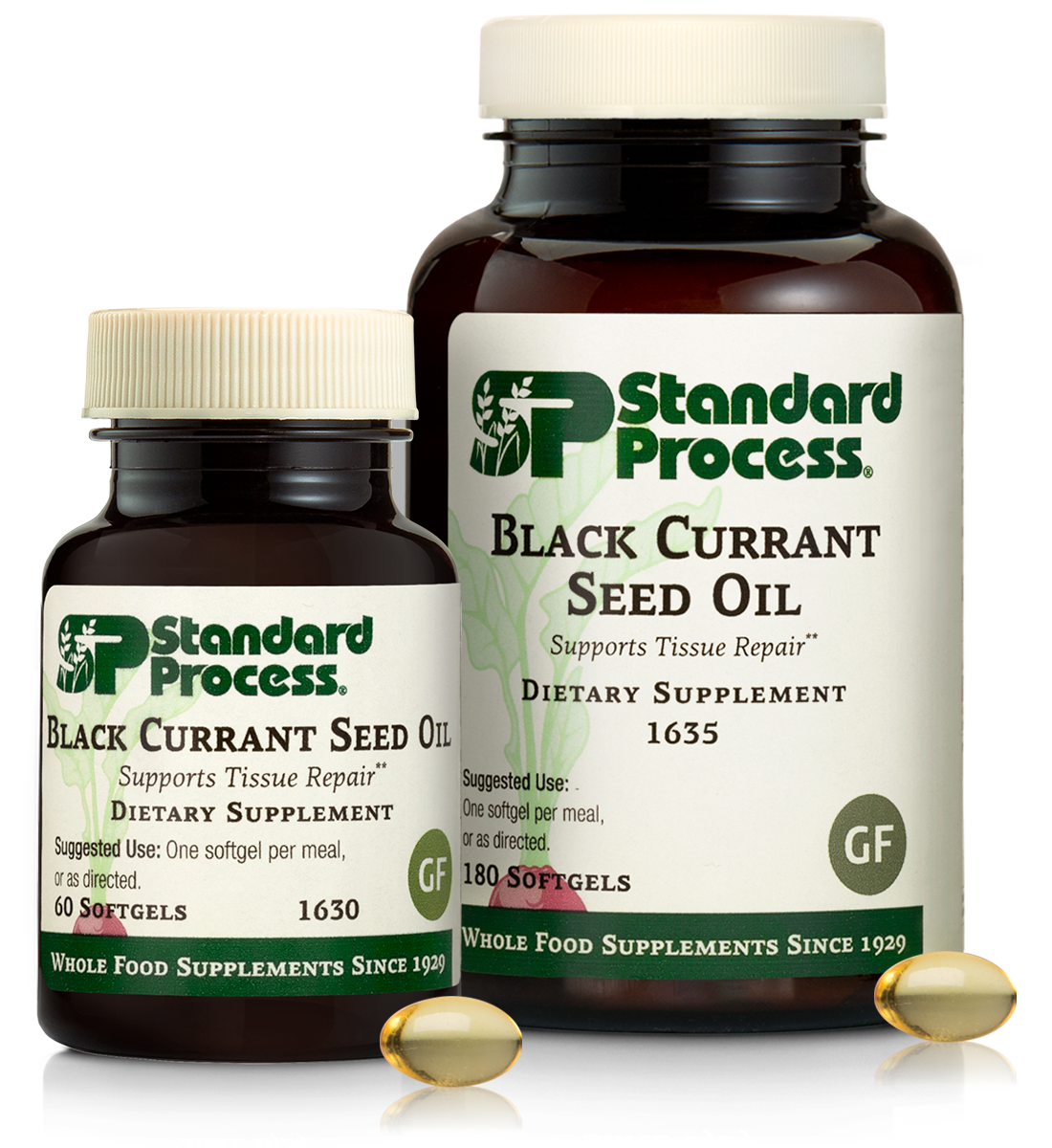 Black Currant Seed Oil – Heart + Sol